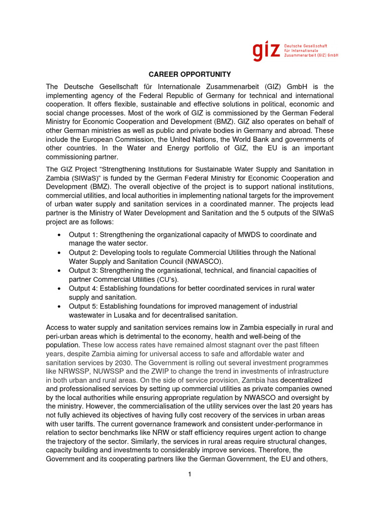 Utility Advisor Position at GIZ Zambia | PDF | Economies
