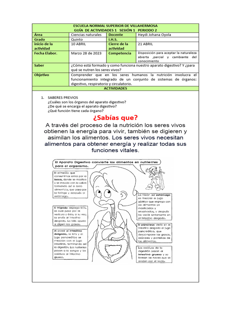 CIENCIAS NATURALES - Quinto - SESIÓN 1 Periodo 2 - La Nutricion y ...