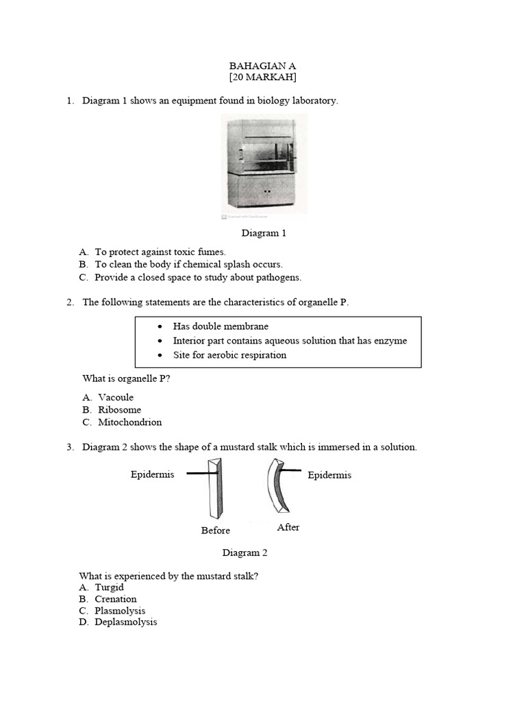 Retest F4 20222023 Biology | PDF | Coagulation | Hormone