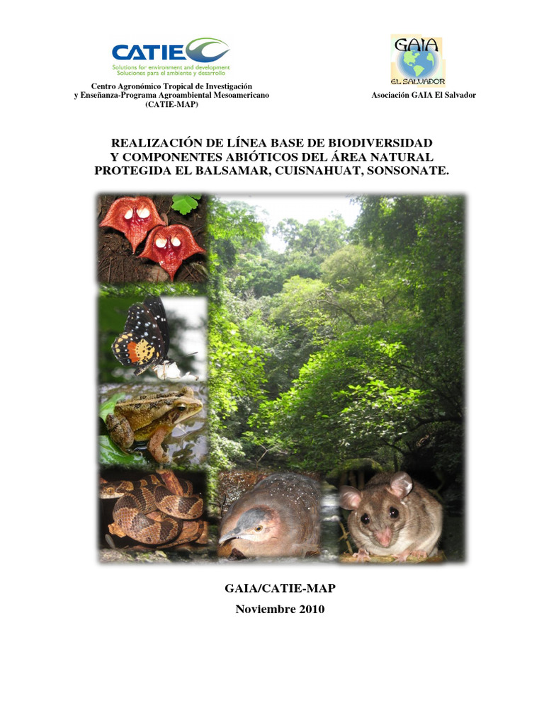 Biodiversidad en El Balsamar | PDF | Los bosques | Selva