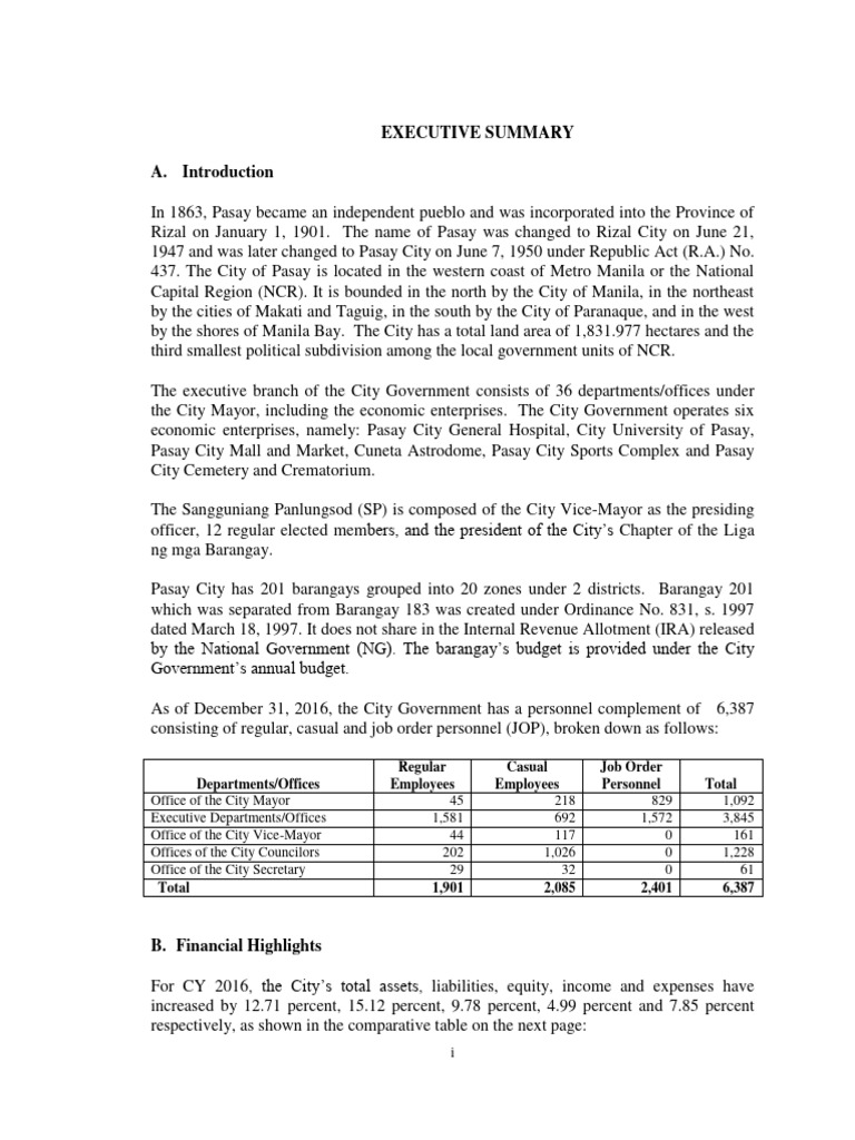 Pasay City Executive Summary 2016 | PDF | Metro Manila | Audit