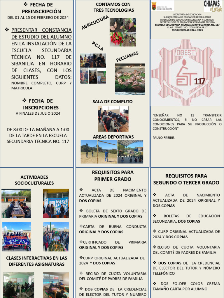 Triptico 2024-117 | PDF | Educación Secundaria | Etapas educativas