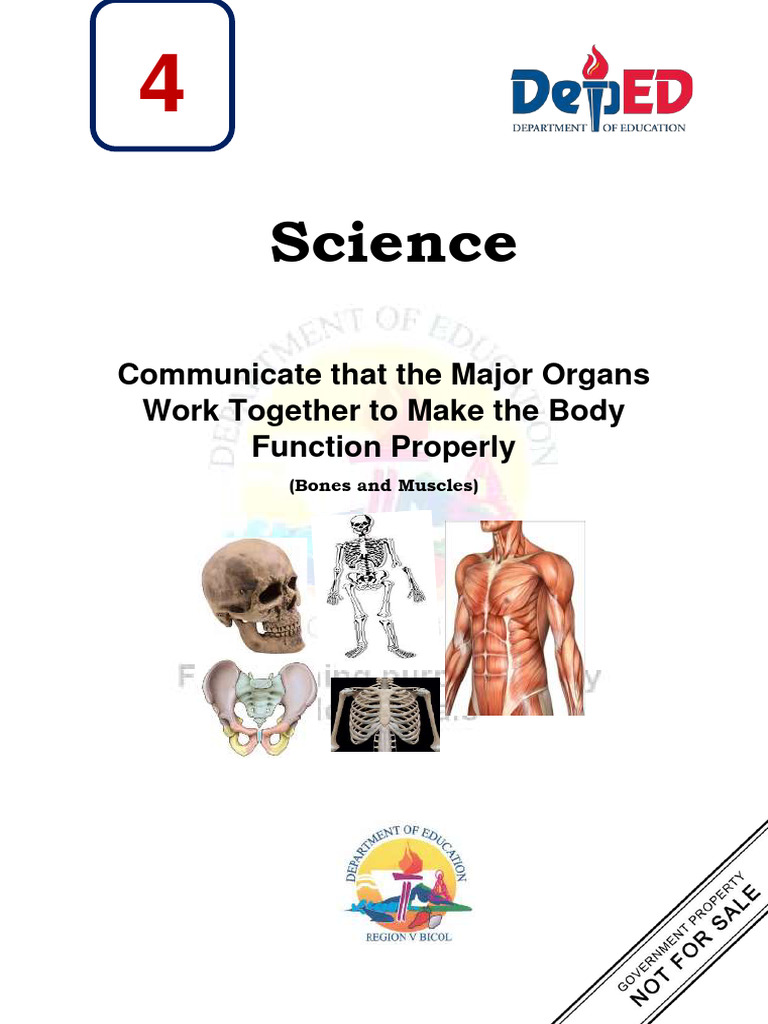 SLM QUARTER 2 Module 2 WEEK 1 | PDF | Vertebral Column | Human Body