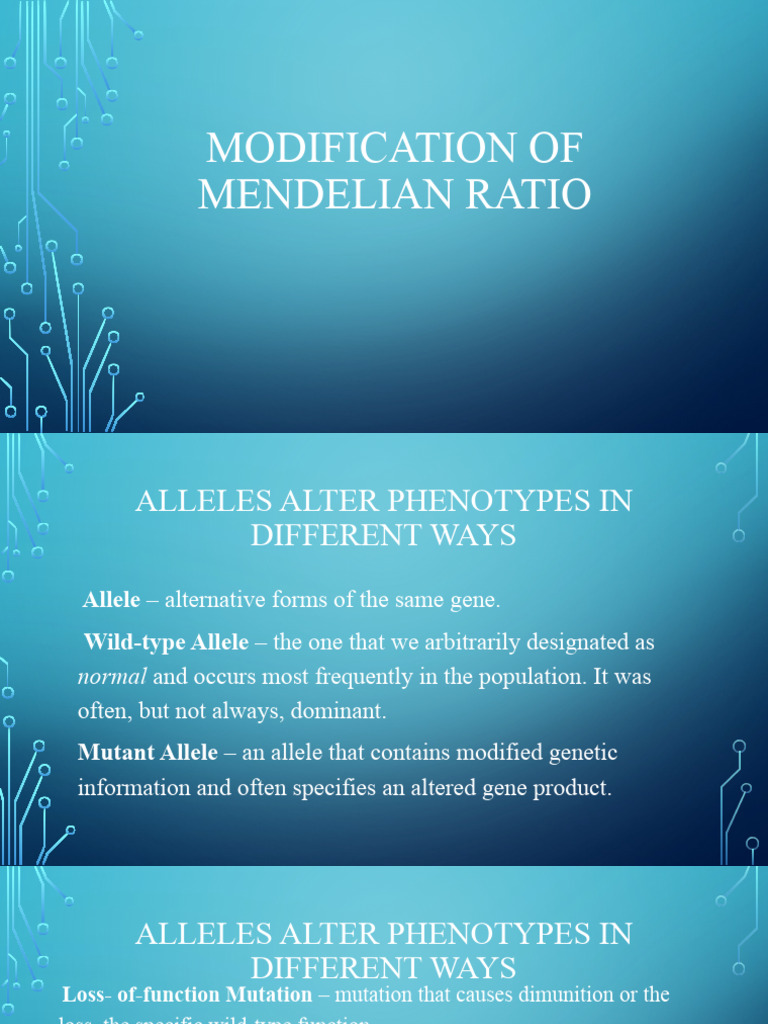 Modificationnof Mendelian Ratio | PDF | Dominance (Genetics) | Allele