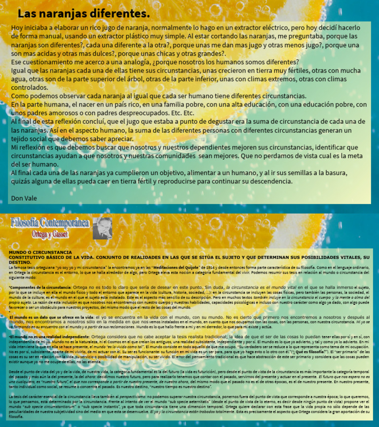 las naranjas | PDF | Vida | Realidad