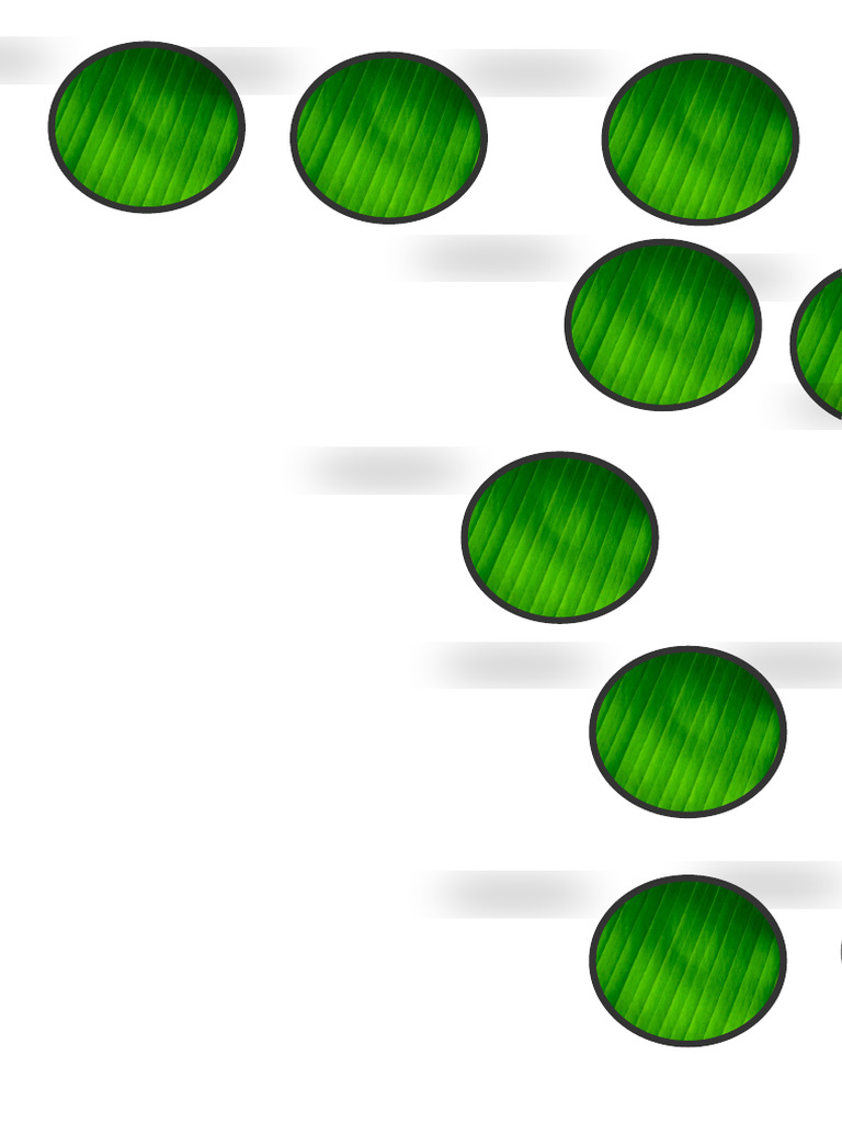 Bendi | PDF