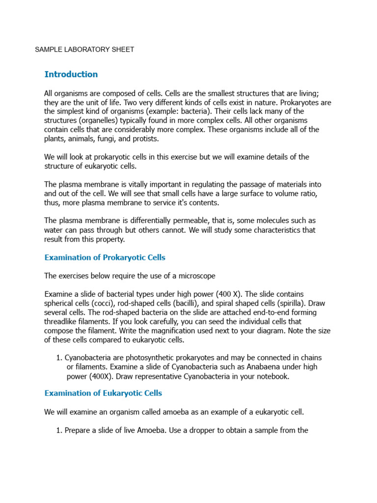 Sample Laboratory Sheet | PDF | Cell (Biology) | Bacteria