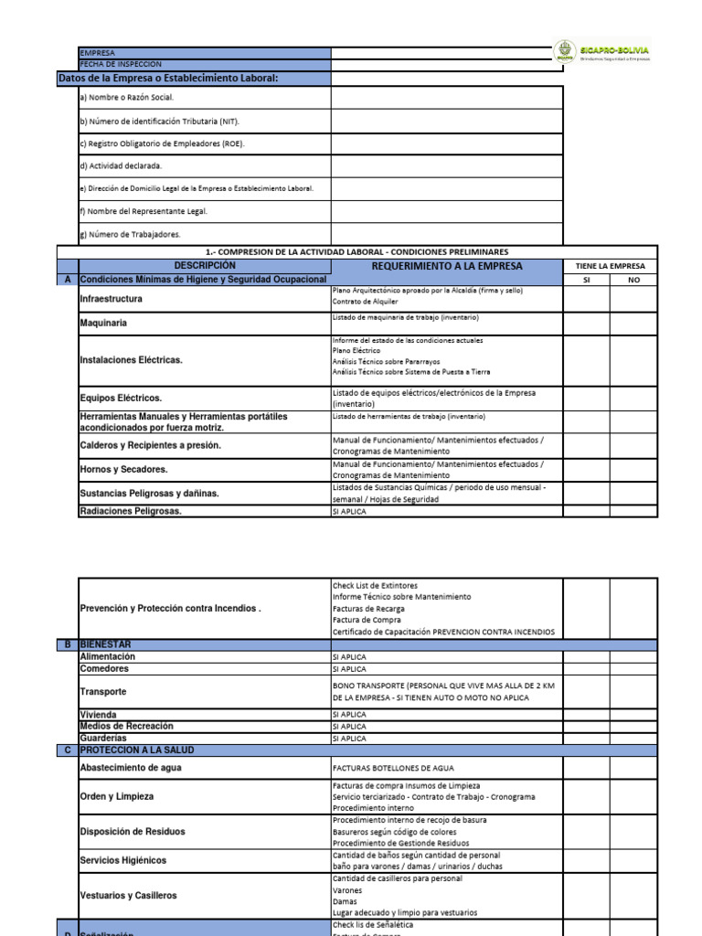 Relevamiento Informacion PGSST | PDF | Seguridad y salud ocupacional ...