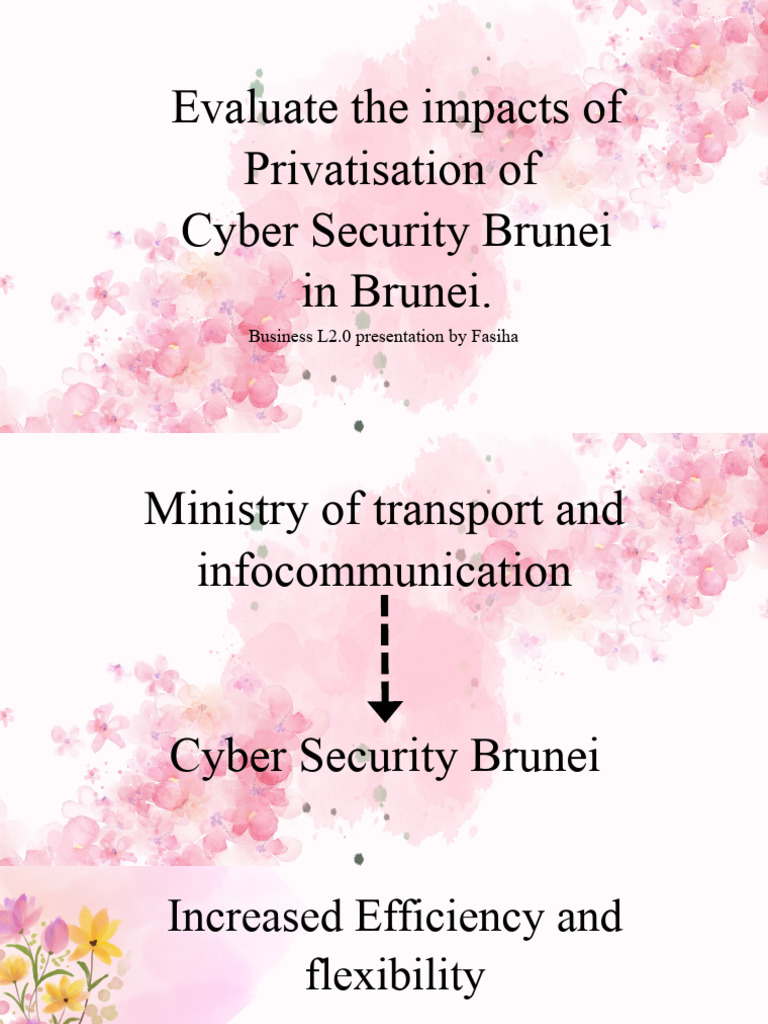 Impacts of Cybersecurity Privatization in Brunei | PDF