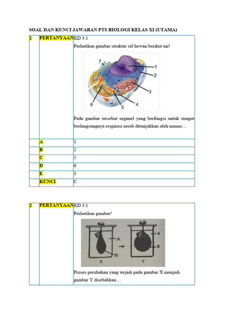 Template - Soal - PTS BIO XI UTAMA GANJIL | PDF