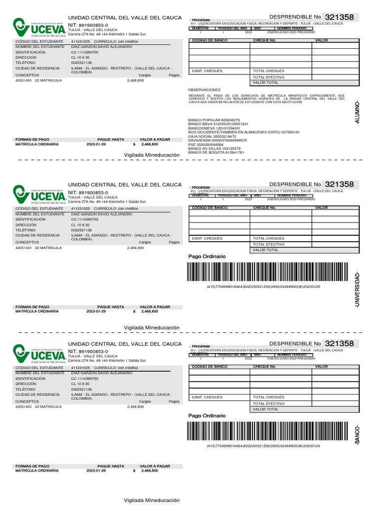 Documento para Pagos | PDF