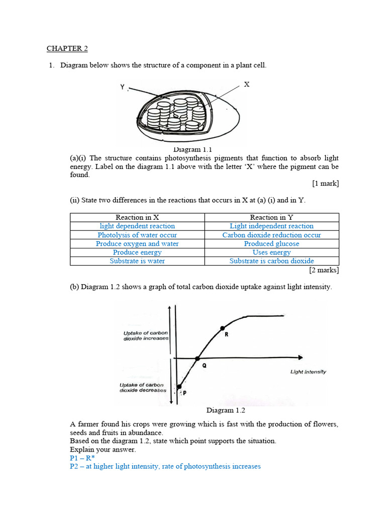 Chap 1-3 F5 BIOLOGY | PDF | Photosynthesis | Plants