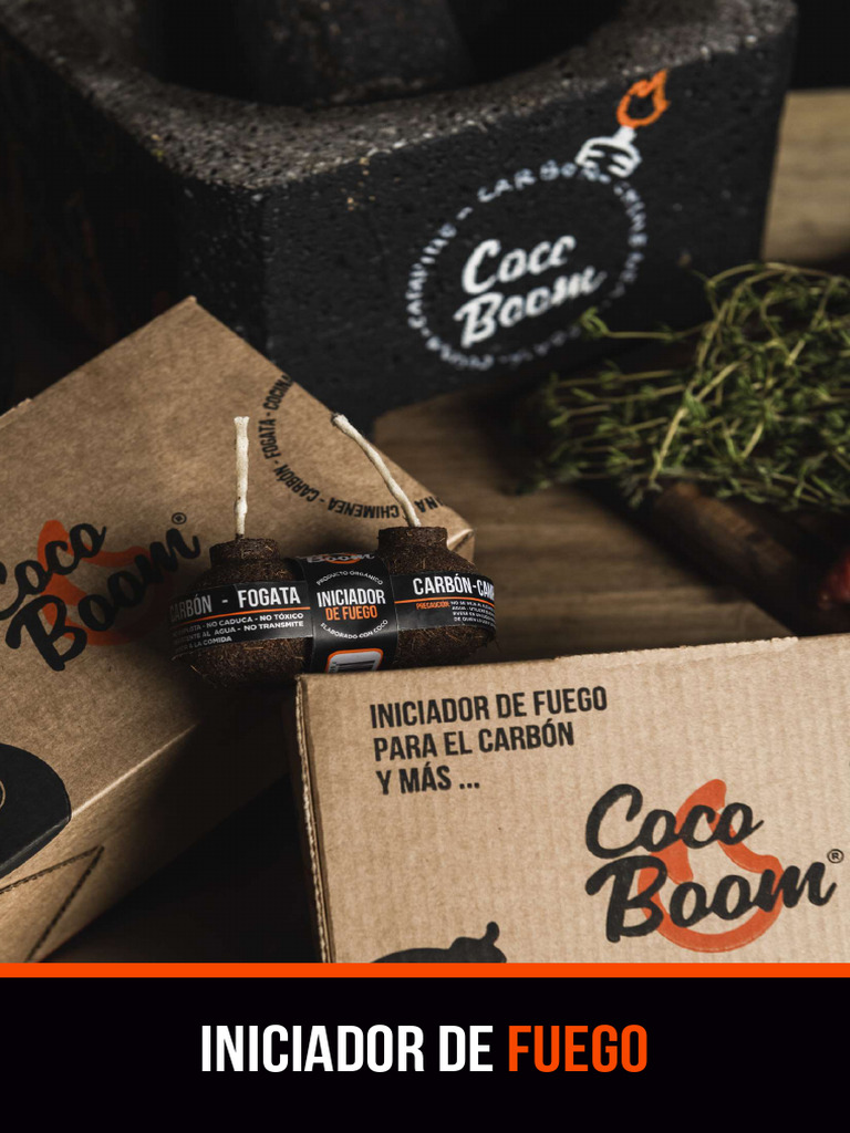 Presentación Coco Boom 2021 Matriz | PDF