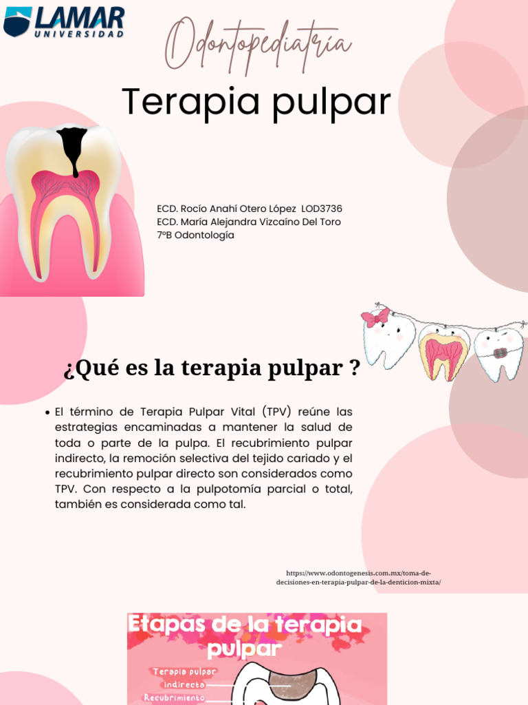 Terapia pulpar | PDF | Especialidades Medicas | Ciencias de la Salud