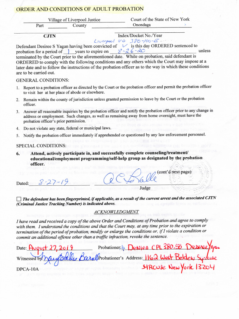 Judge Anthony Lavalle Illegal Sentence of 1-Year Probation With Fine On ...