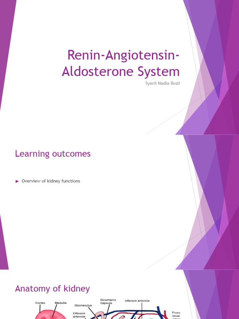 Renin Angiotensin Aldosterone System | PDF | Angiotensin | Kidney