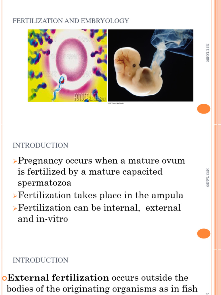 Fertilization and Embryology - Full Notes | PDF | Fertilisation | Embryo