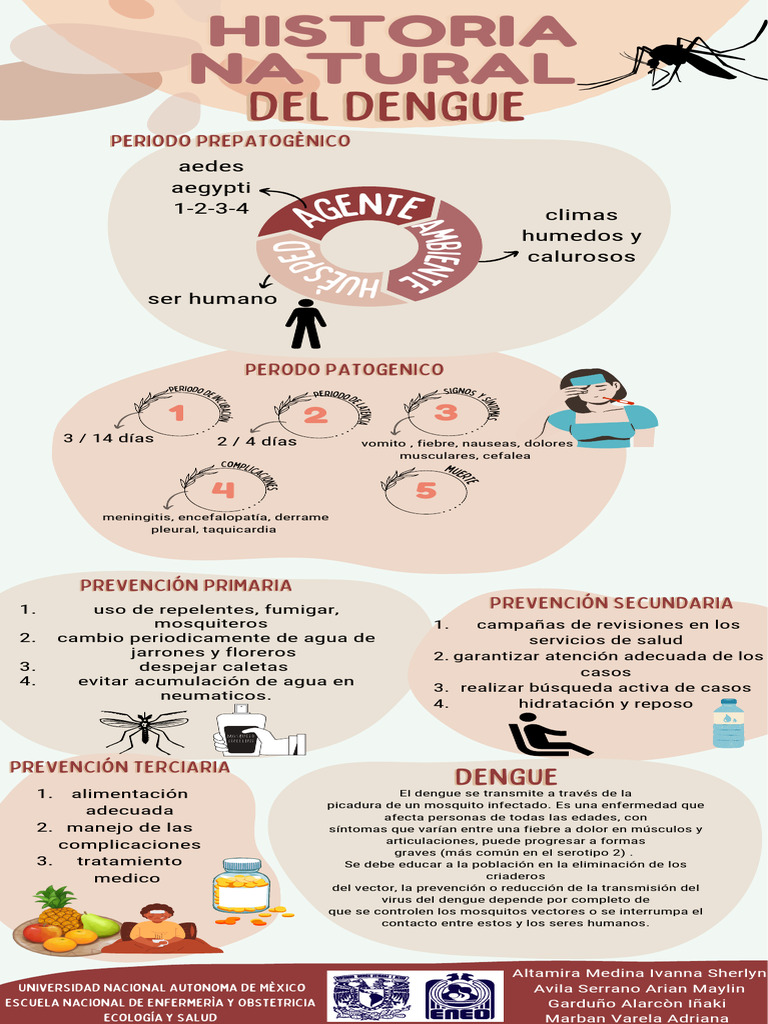 Historia Natural Del Dengue | PDF | Sistema inmune | Epidemiología