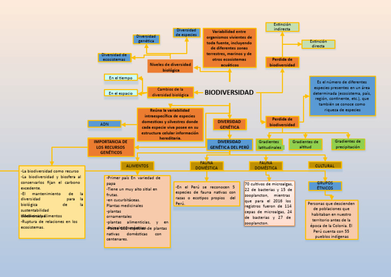 Mapa Conceptual de La Biodiversidad 6 | PDF | Biodiversidad | Ecosistema