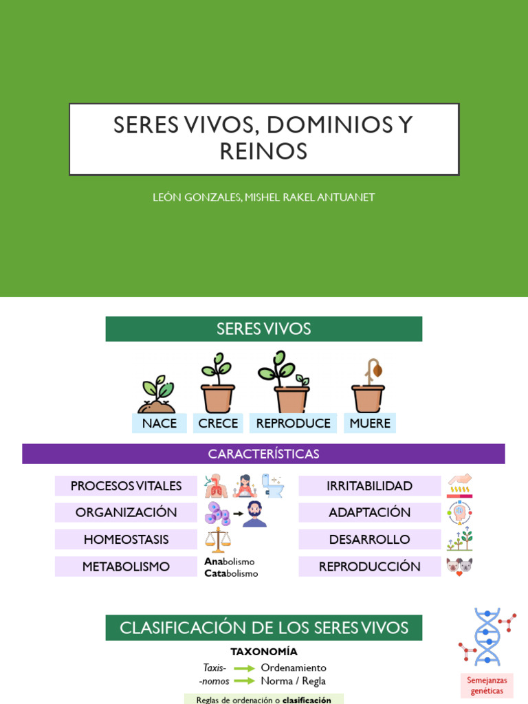 Seres Vivos, Dominios y Reinos | PDF | Eucariotas | Plantas
