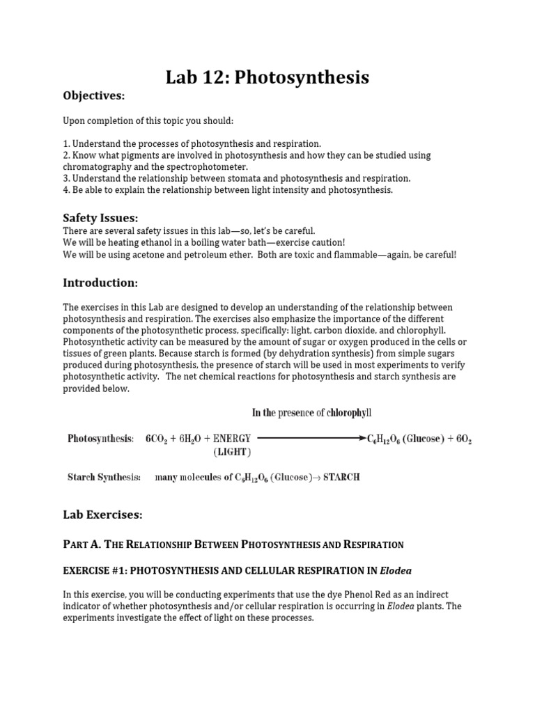 Lab 13 Photosynthesis | PDF | Photosynthesis | Acid