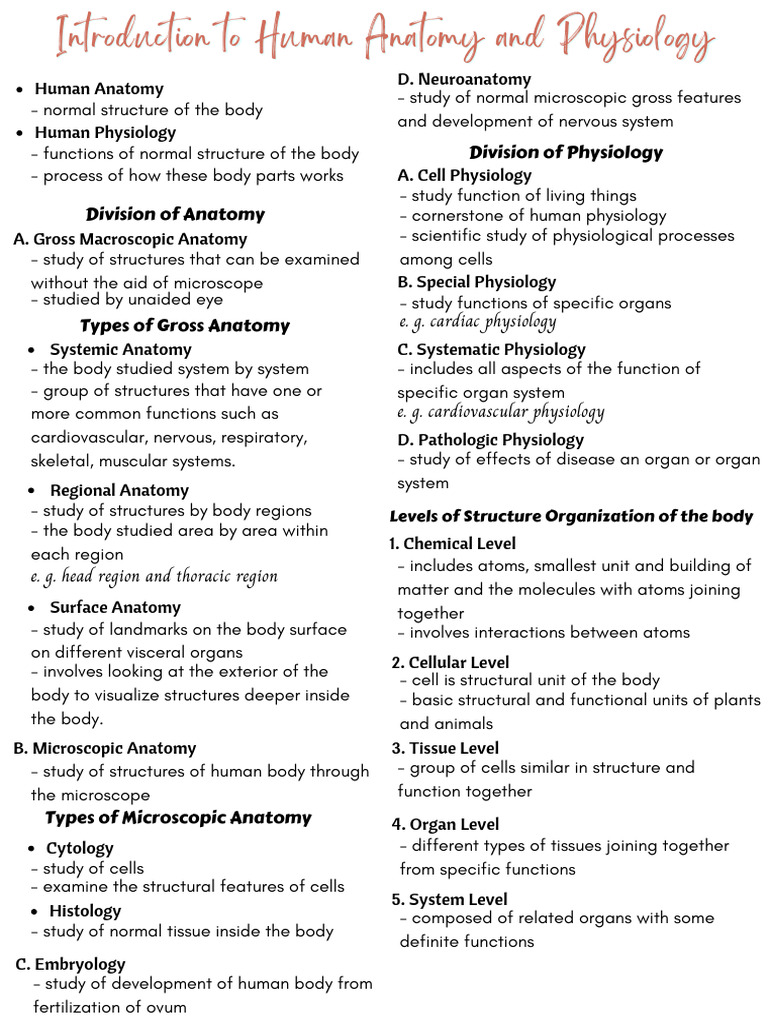 Anaphy Lecture | PDF | Epithelium | Anatomical Terms Of Motion