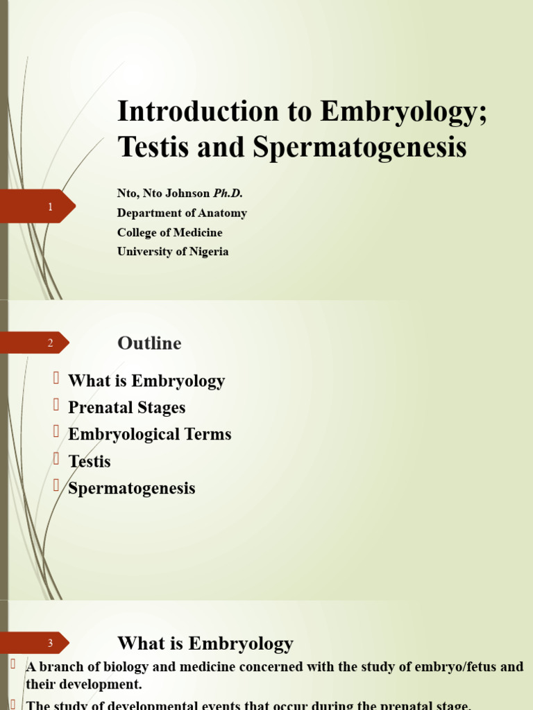 Intoduction To Embryology, Testis & Spermatogenesis - Nto, Nto Johnson ...