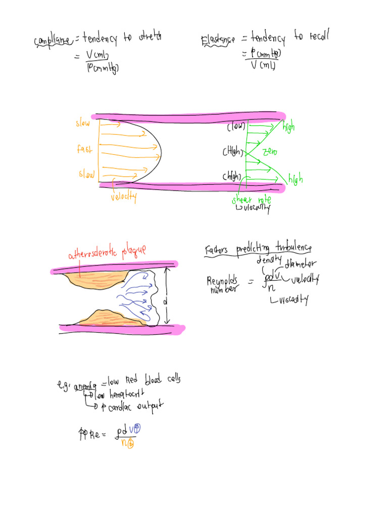Cvs Pdf Pdf