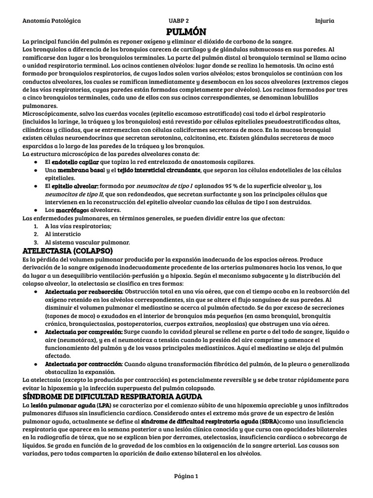 Anato Pato. Respiratorio | PDF | Asma | Tos Anato Pato. Respiratorio | PDF | Asma | Tos