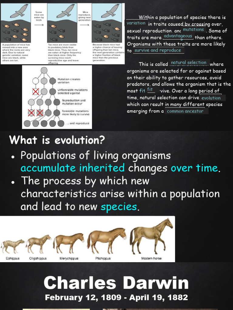 Notes - Natural Selection and Testing Theories | PDF | Evolution ...