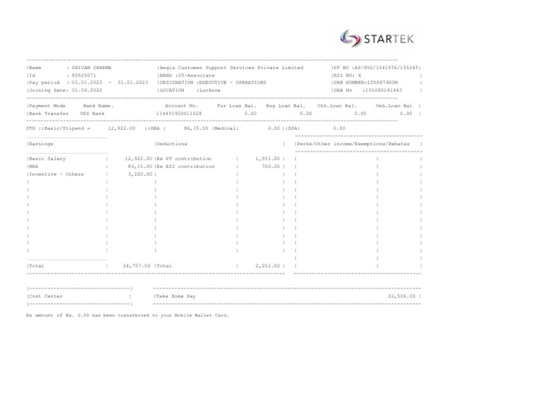 Startek Pay Slip | PDF | Service Industries | Personal Finance