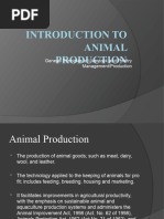 Introduction To Animal Production | PDF | Livestock | Poultry Farming