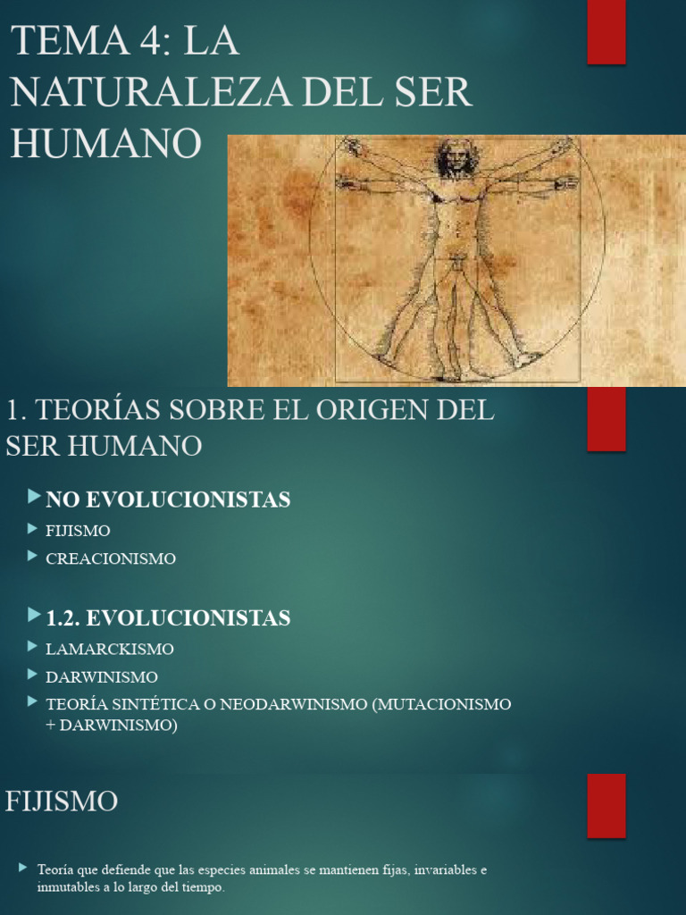 TEMA 4 La Naturaleza Del Ser Humano | PDF | Evolución | Socialización