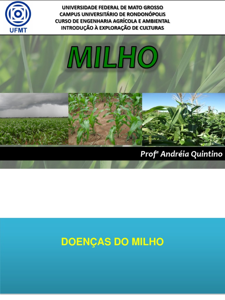 Doenças do milho: agentes causais, sintomas, condições para ocorrência ...