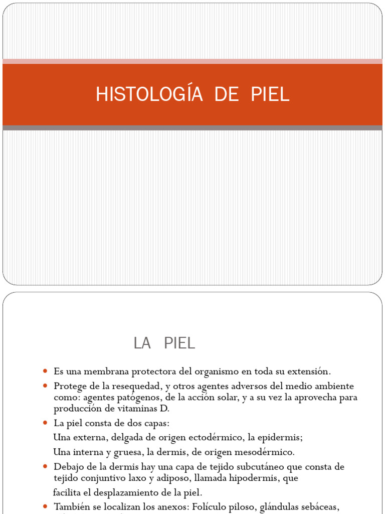Histologia de La Piel | PDF | Piel | Epidermis
