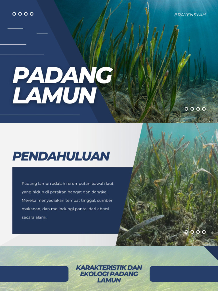 Brayensyah Padang Lamun | PDF