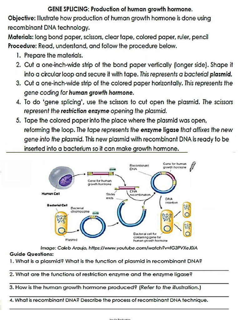 GENETIC ENGINEERING Activity | PDF | Self-Improvement