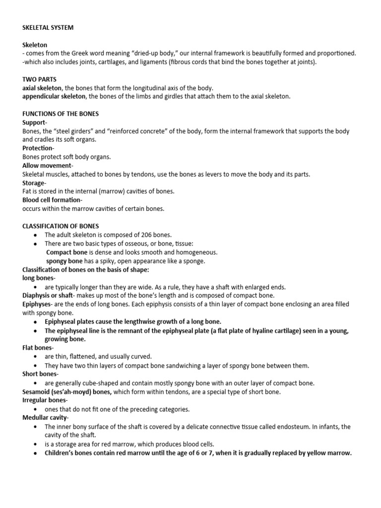 SKELETAL SYSTEM | PDF | Bone | Skeleton