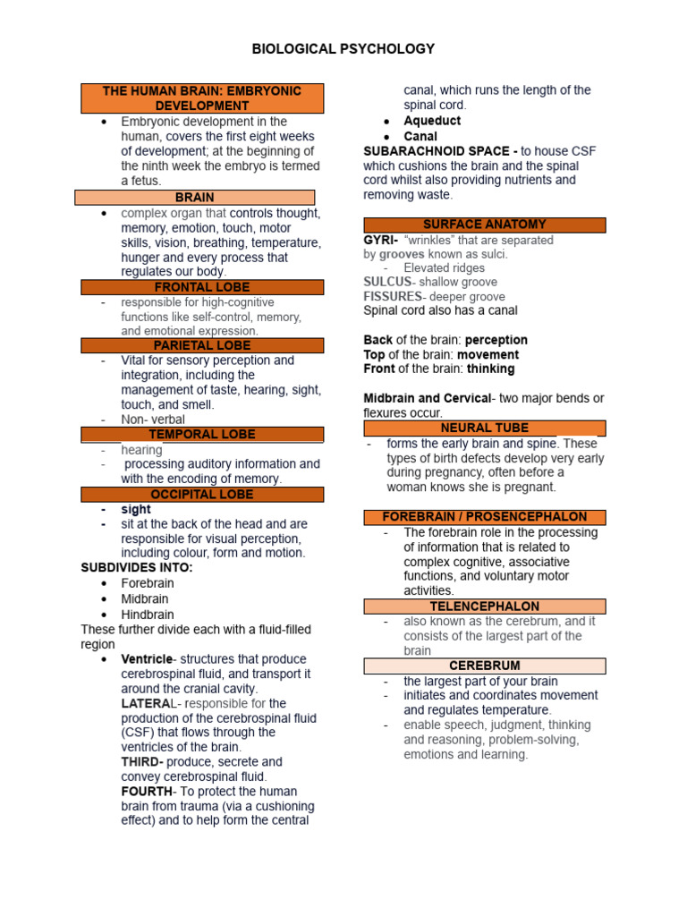 Biological Psychology | PDF | Cerebrum | Cerebral Cortex