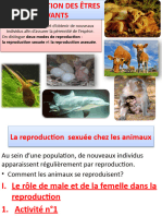 La Reproduction Humaine chez l'Homme | PDF | Cycle menstruel | Système ...