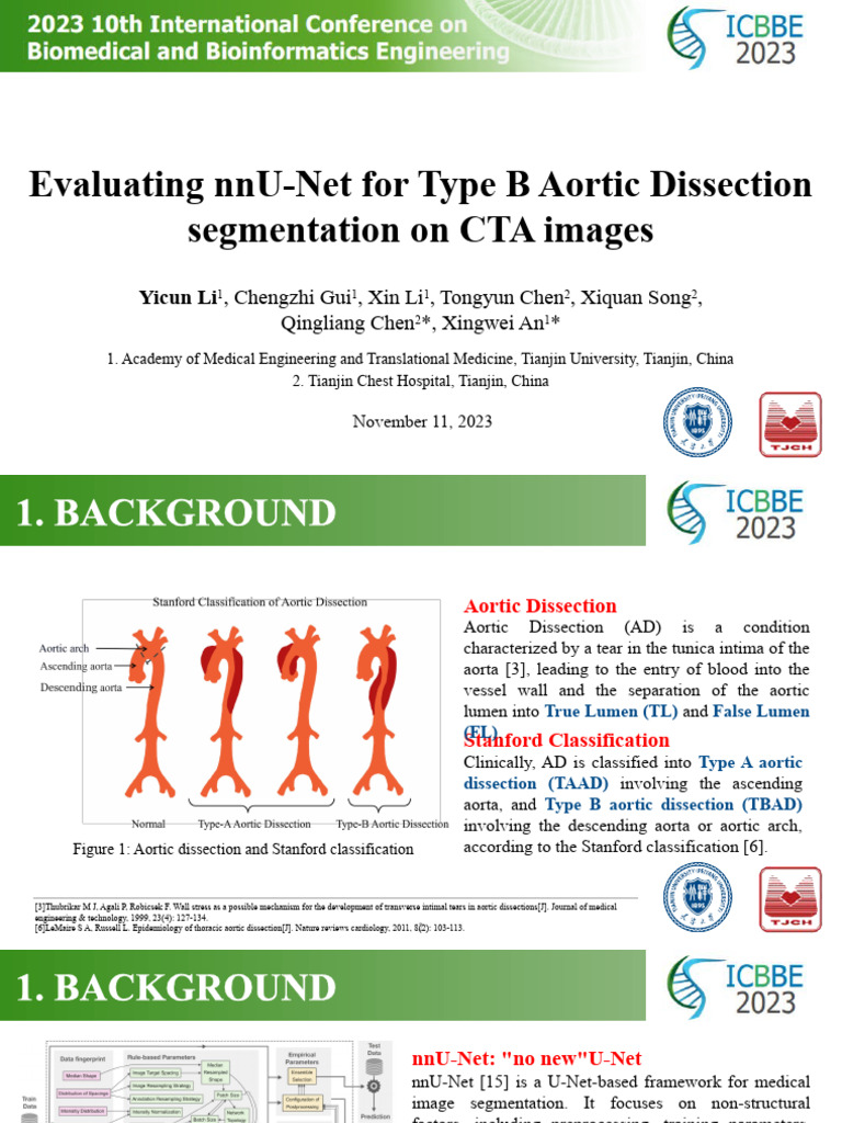 Icbbe | PDF | Aorta | Angiology