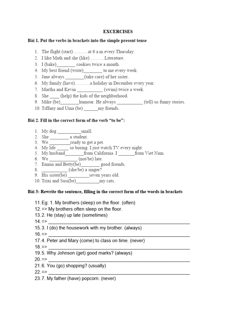 Present Simple Tense Excercises | PDF