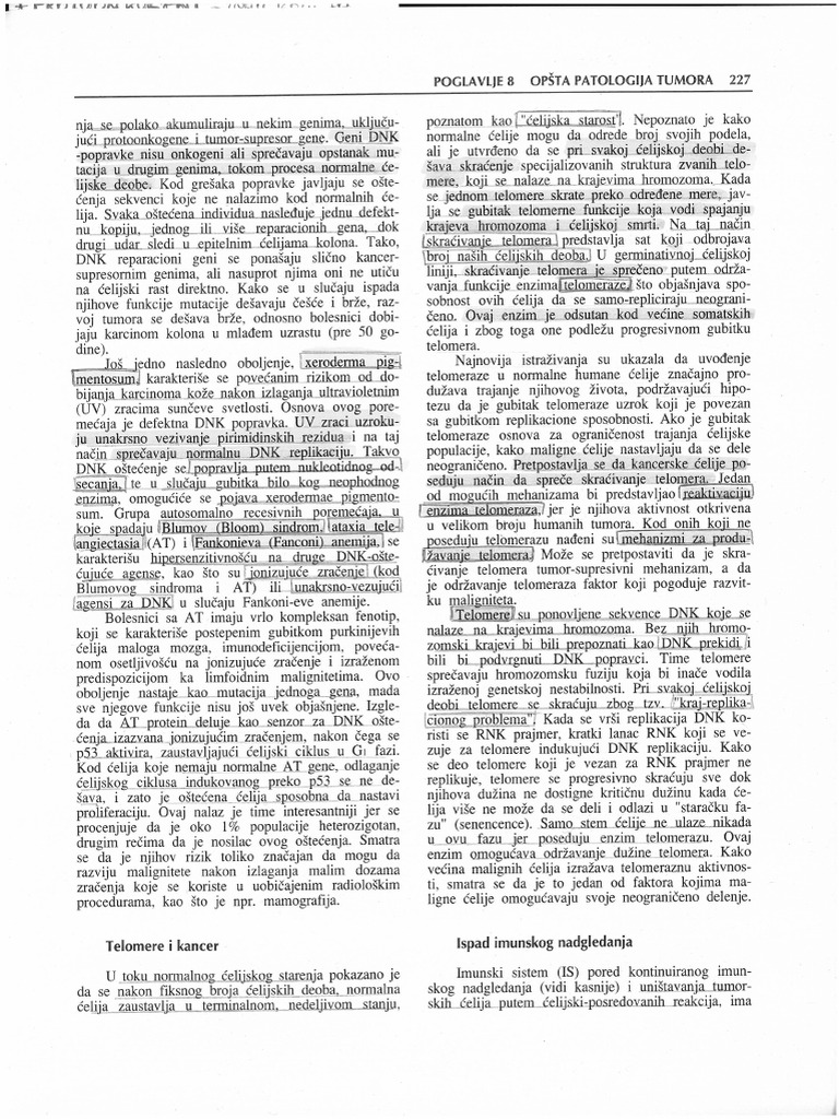 SStreet Cop24012910150 - 0029 | PDF