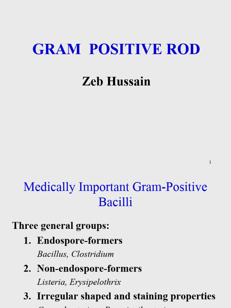 Dm-Lecture 4-11-23 | PDF | Bacillus | Botulinum Toxin
