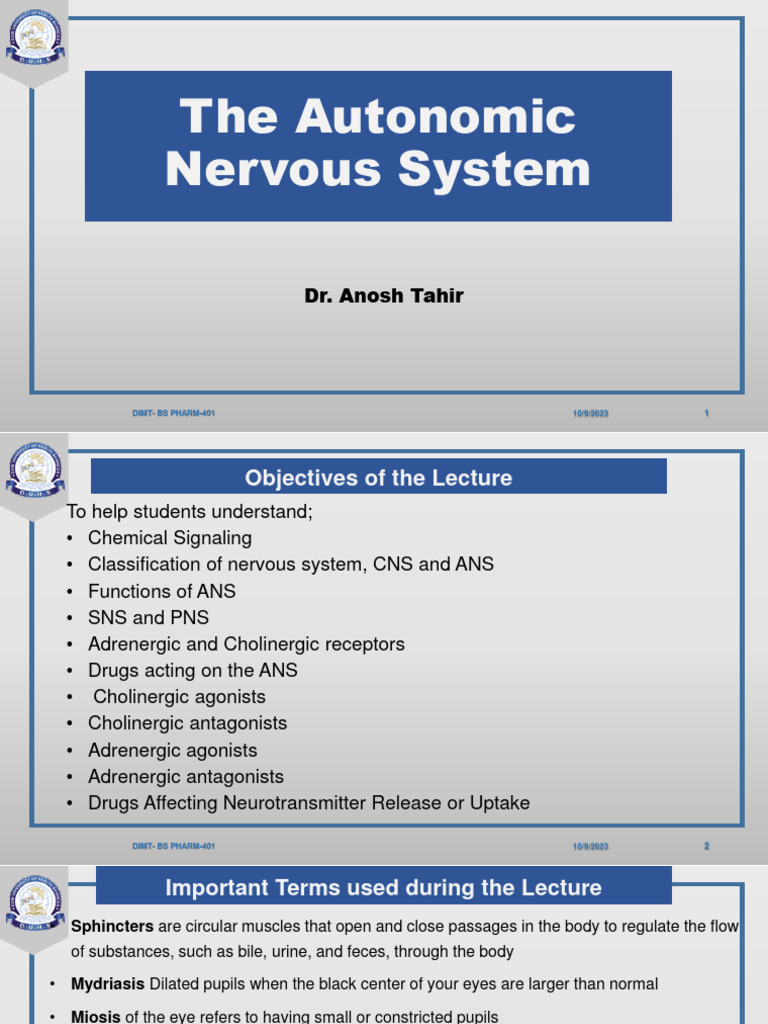 Updated-Autonomic Nervous System | PDF | Acetylcholine | Neuromuscular Junction
