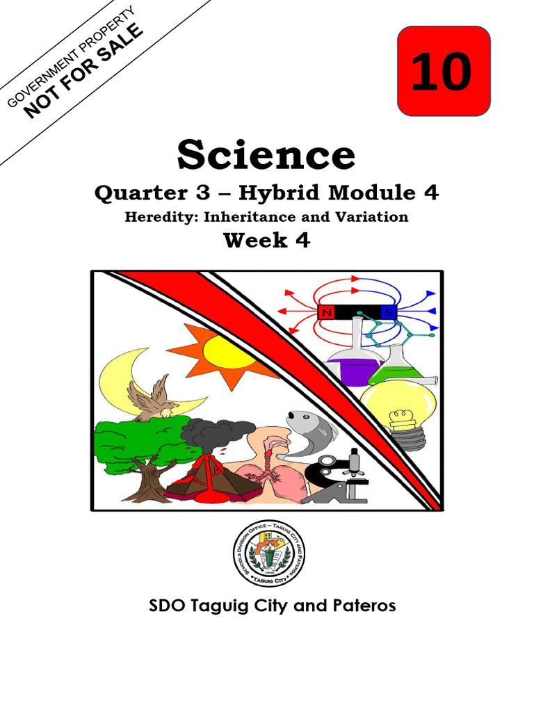 S10 Q3 Enhanced Hybrid Module 4 Week 4 Final | PDF | Rna | Translation ...