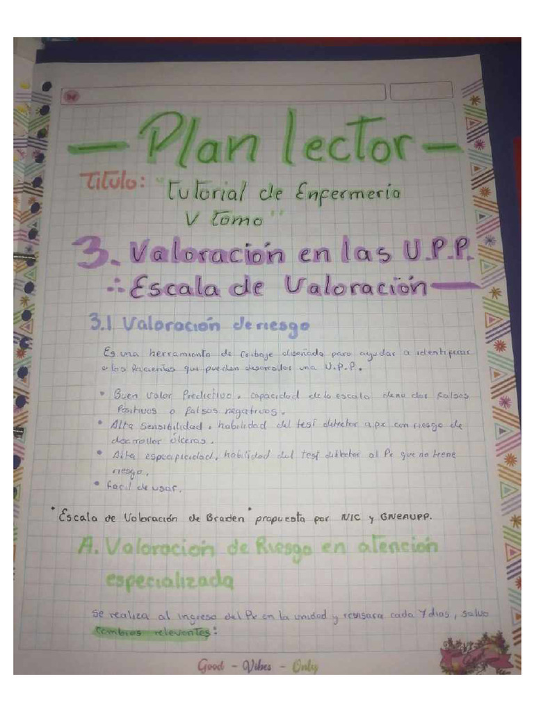 Plan Lector IV | PDF
