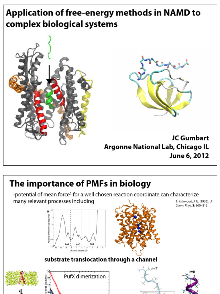 Application of Free-Energy Methods in NAMD To Complex Biological Systems | PDF | Proteins ...