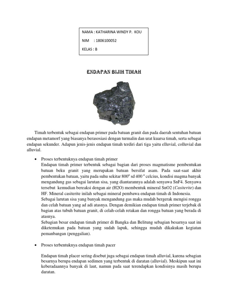 Endapan Bijih Timah | PDF