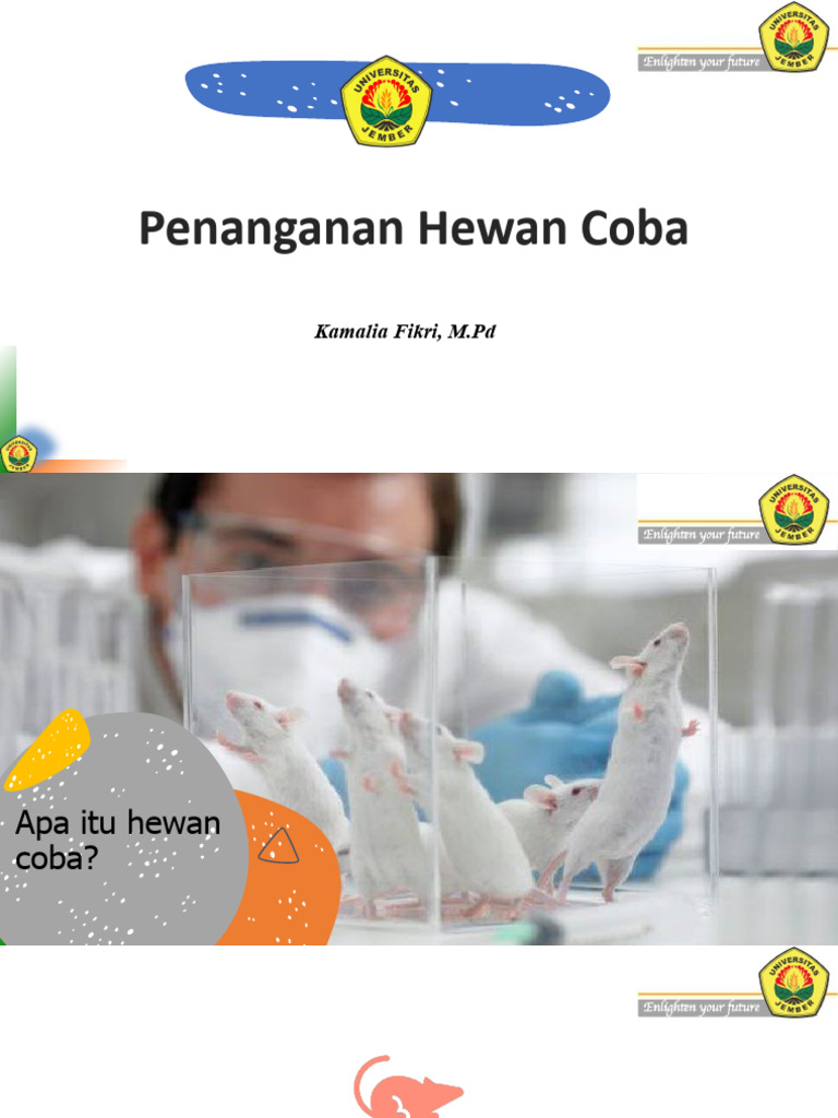 Penanganan Hewan Coba | PDF